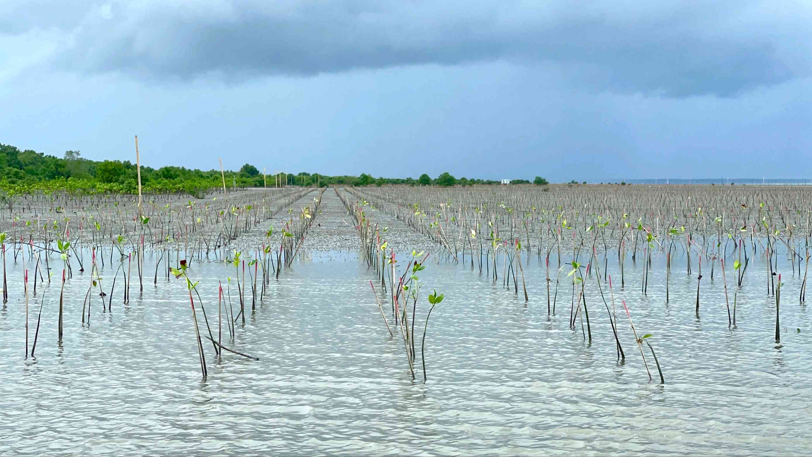 PTTEP Ocean Data Platform